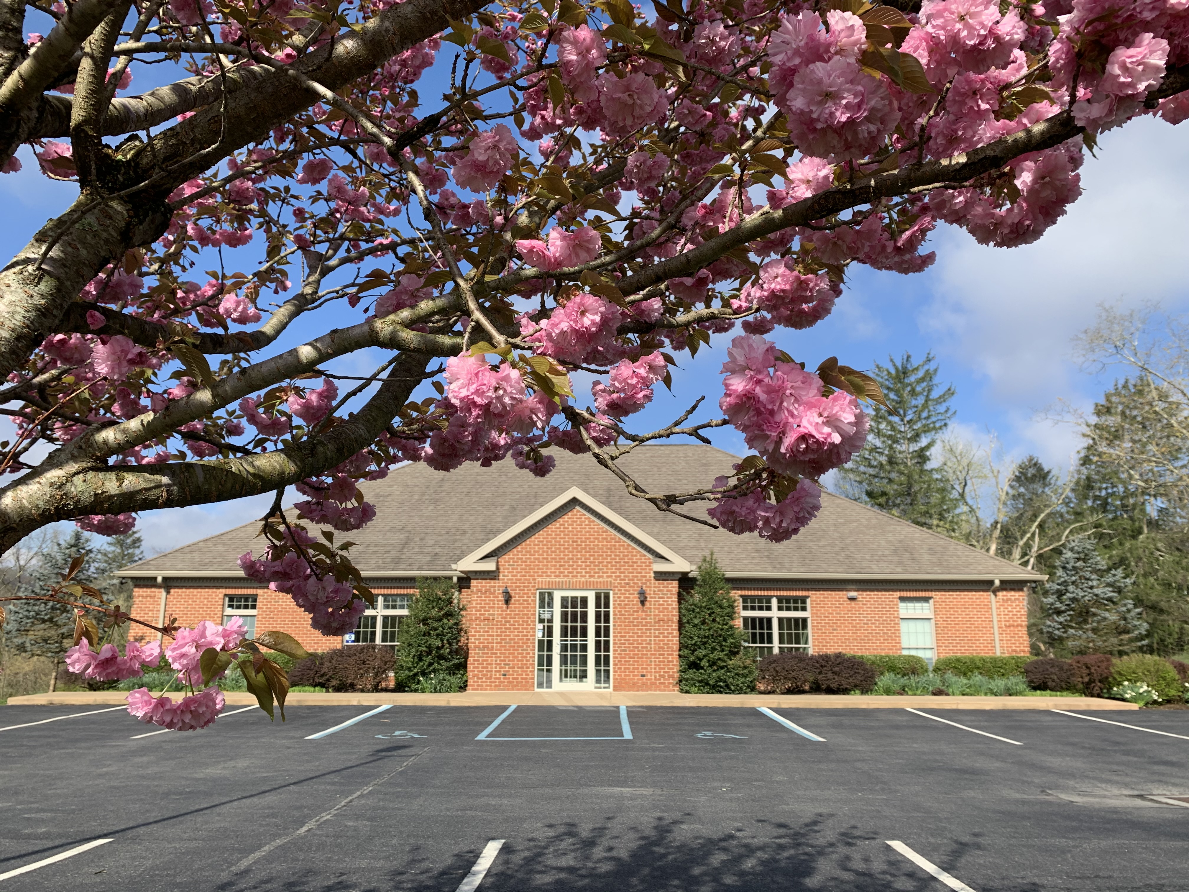 A office - Appalachian Spring Dermatology